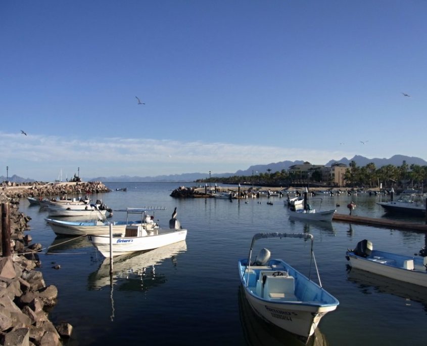 Southern Baja California – Sun, Sea and Stars – Adventure Continued